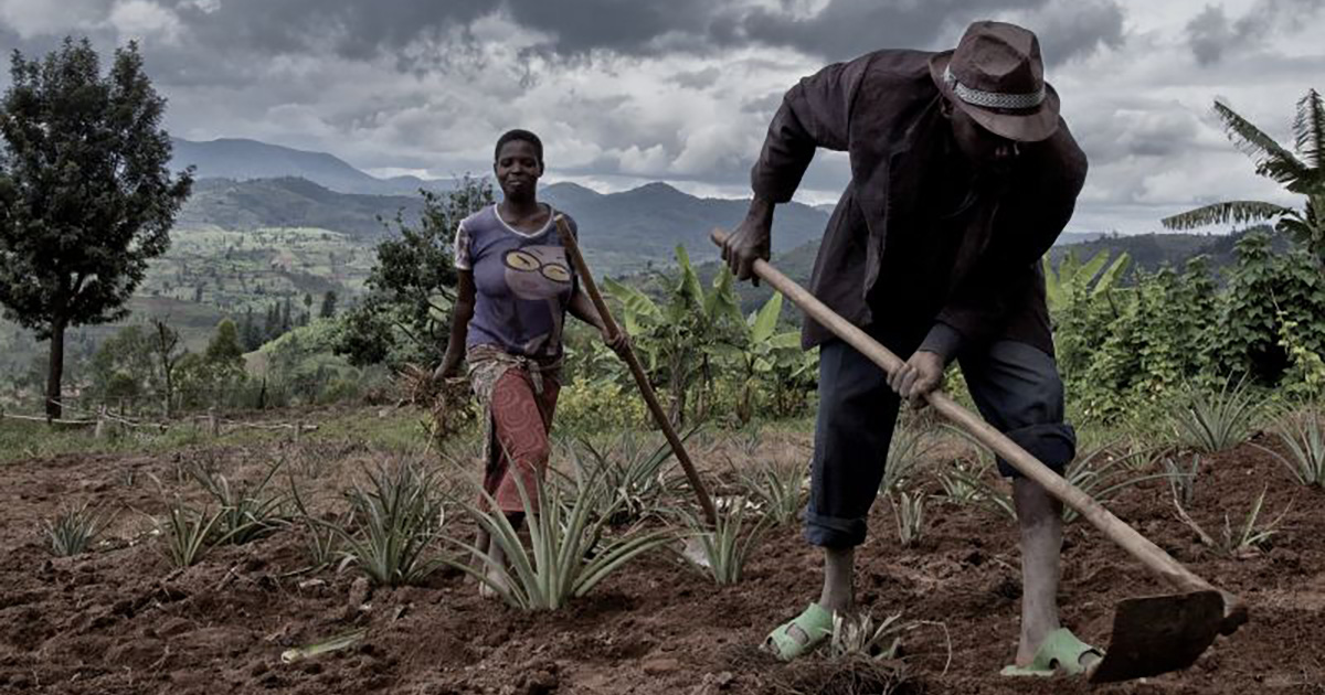 The story of Alexis, an ex-prisoner - International Alert