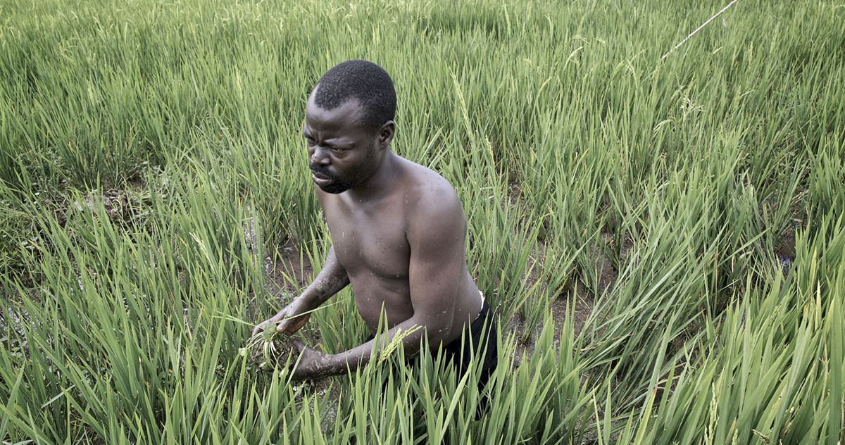 The story of Joseph, a Tutsi survivor - International Alert